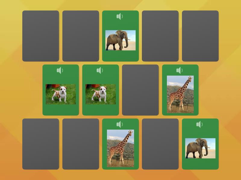 Dear zoo activity - Matching pairs