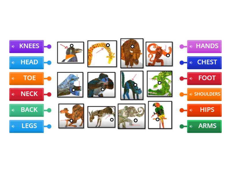 FROM HEAD TO TOE - Labelled diagram
