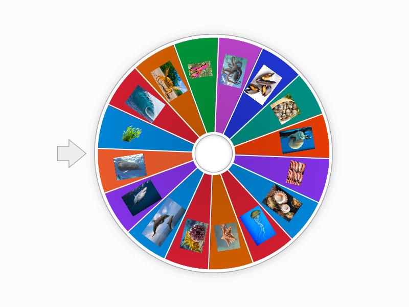Sea animals Quiz wheel - Spin the wheel