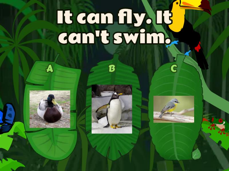 Can you guess the animal? - Cuestionario