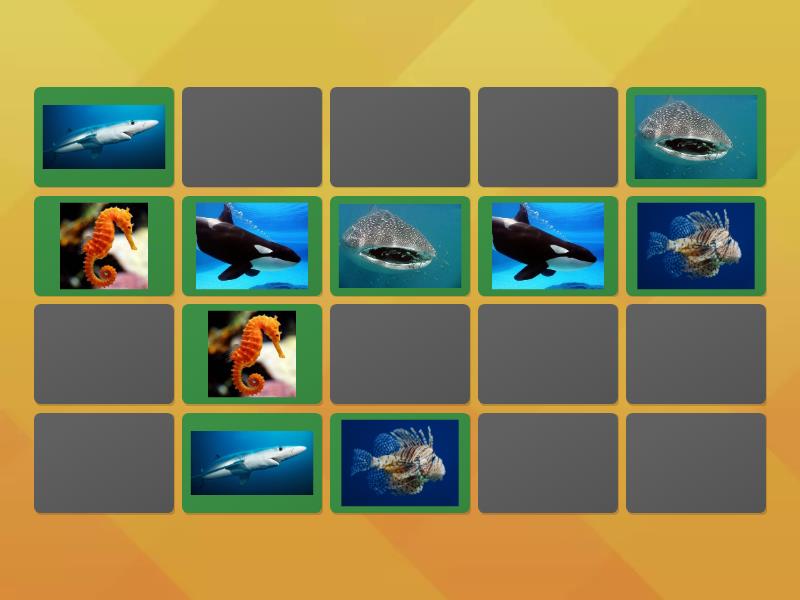 ocean animals - Matching pairs