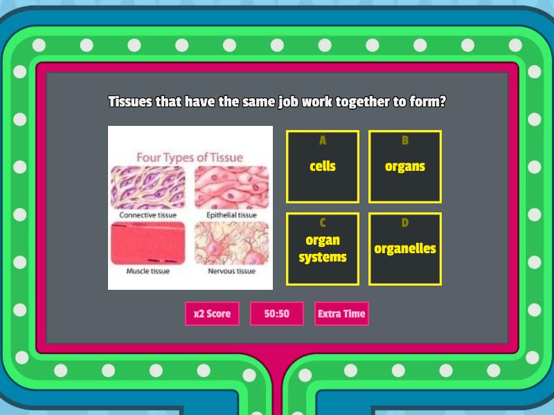 Cells-tissues-organs-organ systems! lewis - Gameshow quiz