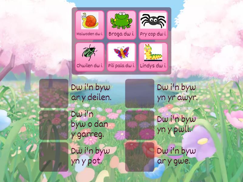 Minibeast homes - Une las parejas