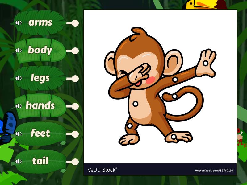 Monkey's Animals body parts Kids box 1 unit 7 - Labelled diagram