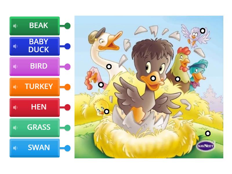 THE UGLY DUCKLING 2 - Labelled diagram