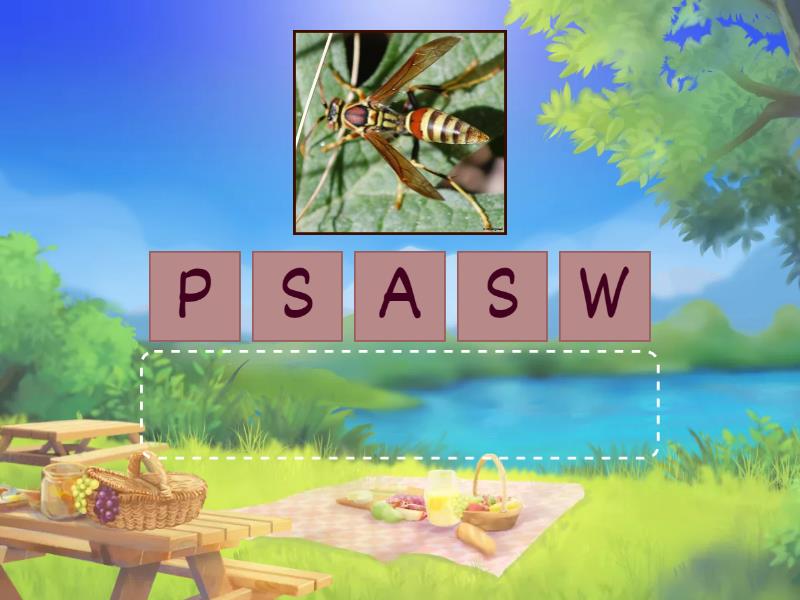 Spotlight 5, extensive reading module 5 (insects) - Anagram