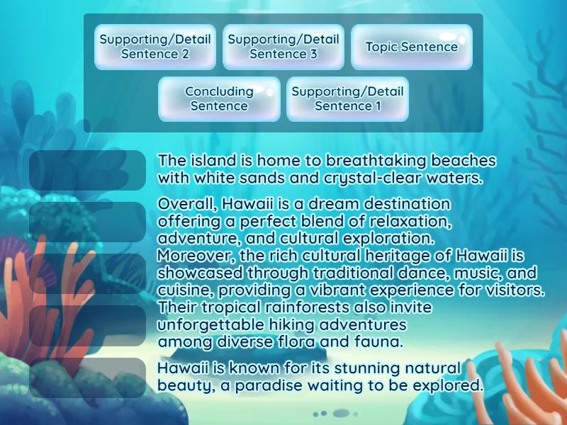 Paragraph Sequencing - Match up