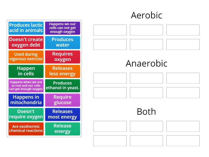 Aerobic and Anaerobic Comparison - Group sort
