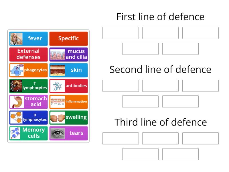 Immune system - lines of defence - Ordenar por grupo