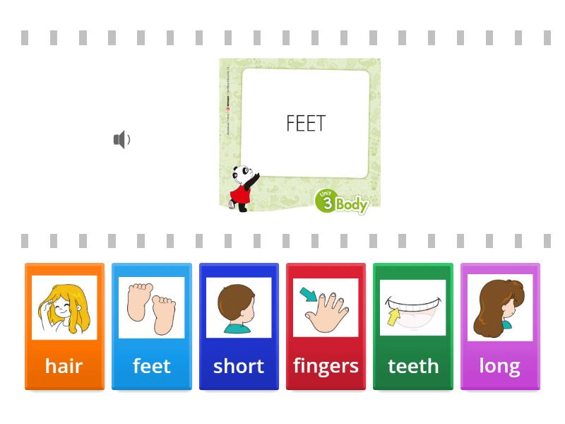 Amanda 3 Unit 3(Body) - Find the match
