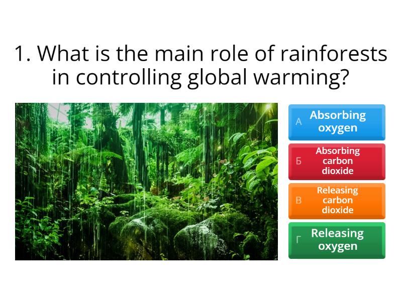 Deforestation - Quiz