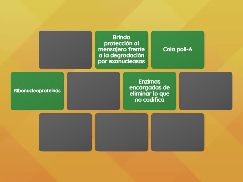 Procesamiento de los mRNA - Matching pairs