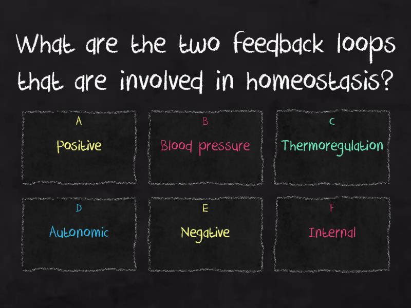 Homeostasis quiz - Cuestionario