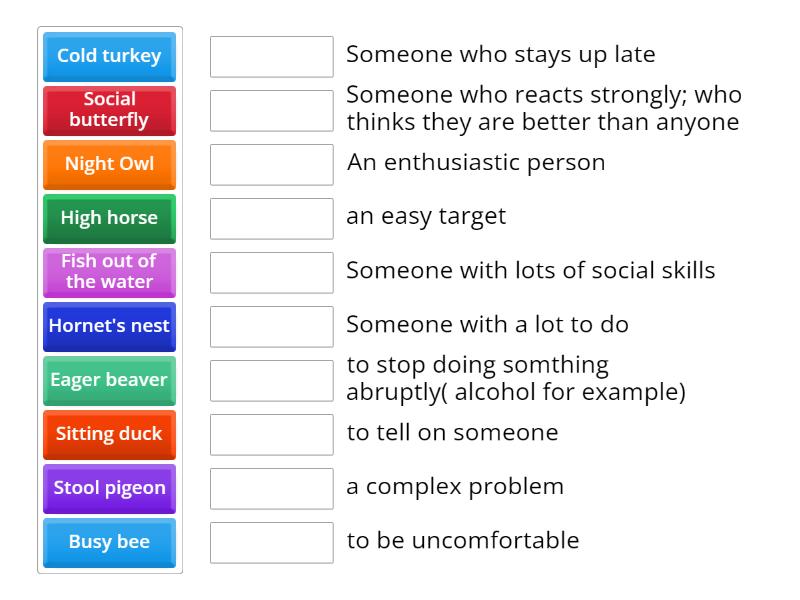 Animal Idioms - Match up