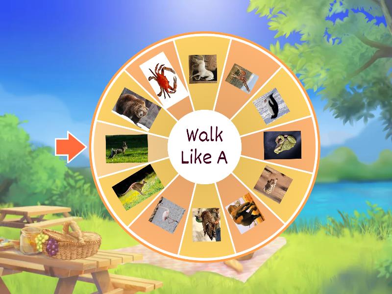Animal wheel - Spin the wheel