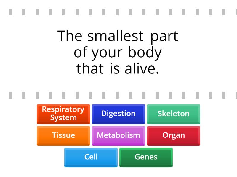 Talking About Human Biology - Find the match