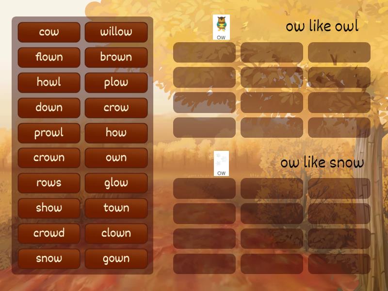 Lesson 12 Vowel Team ow - Group sort