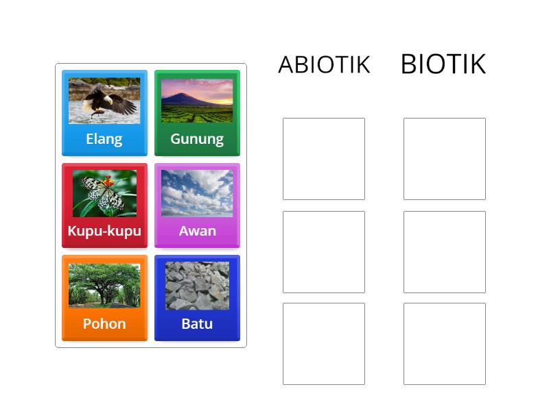 BIOTIK DAN ABIOTIK - Group sort