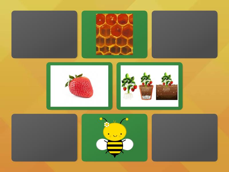 Cada oveja con su pareja - Matching pairs