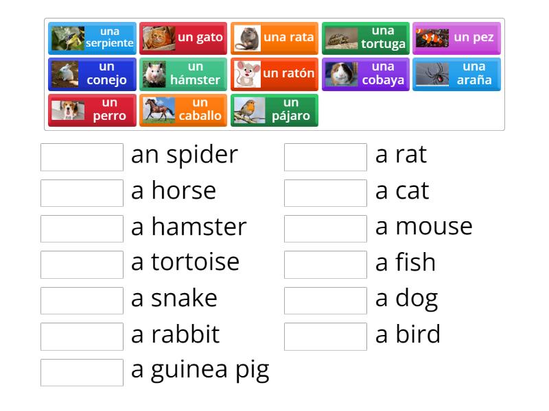 Los Animales - Match up