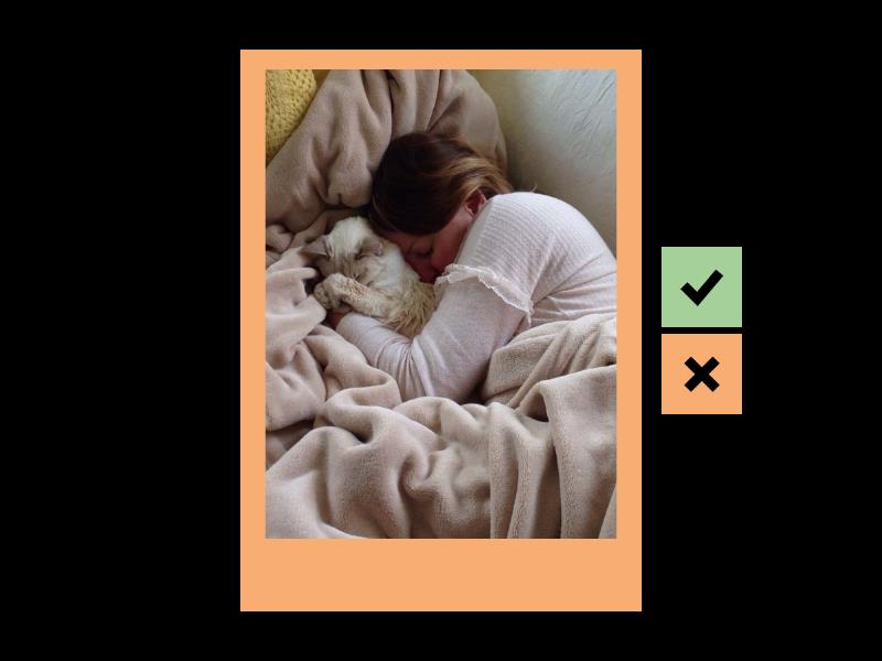 Pre-viewing activity "The Oak Tree" - Flash cards