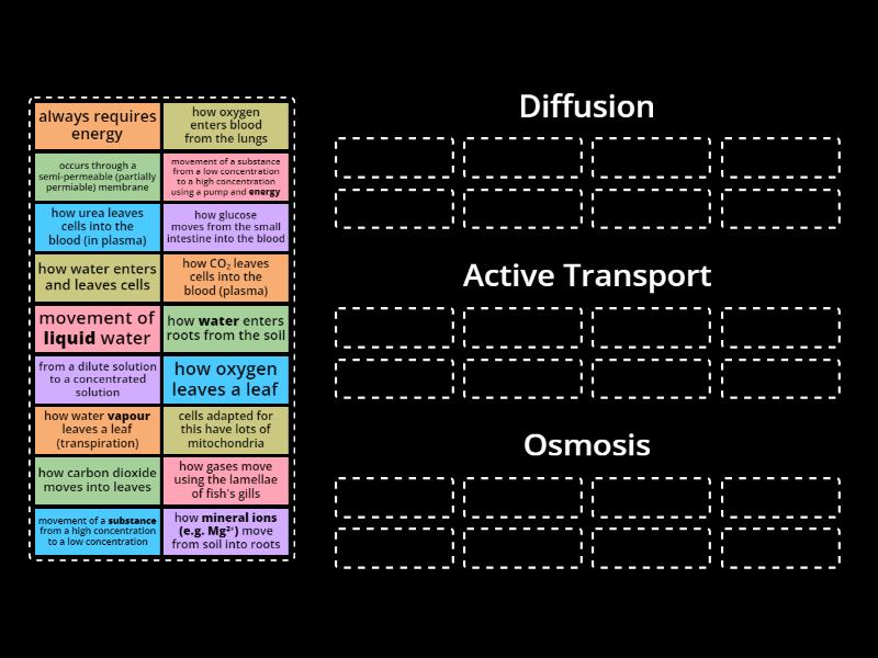 Ffynone house AQA biology: cell transport- match up - Group sort