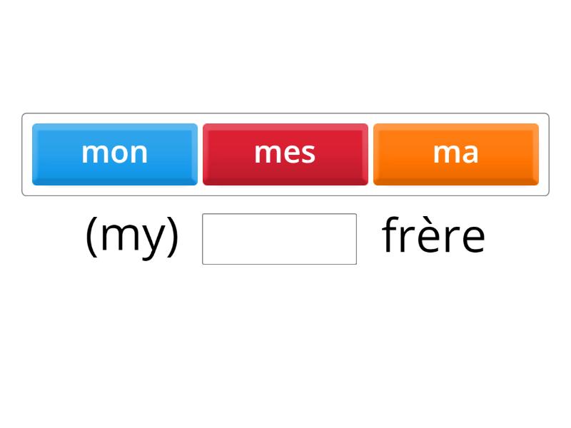Les adjectifs possessifs (mon, ma, mes, ton, ta, tes, son, sa, ses ...
