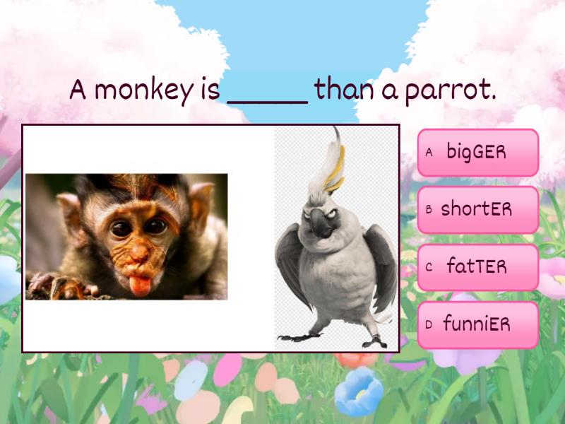 Spotlight 4 module 4 comparatives review - Quiz