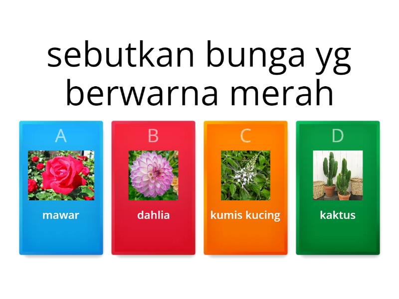Mengenal nama nama bunga - Quiz