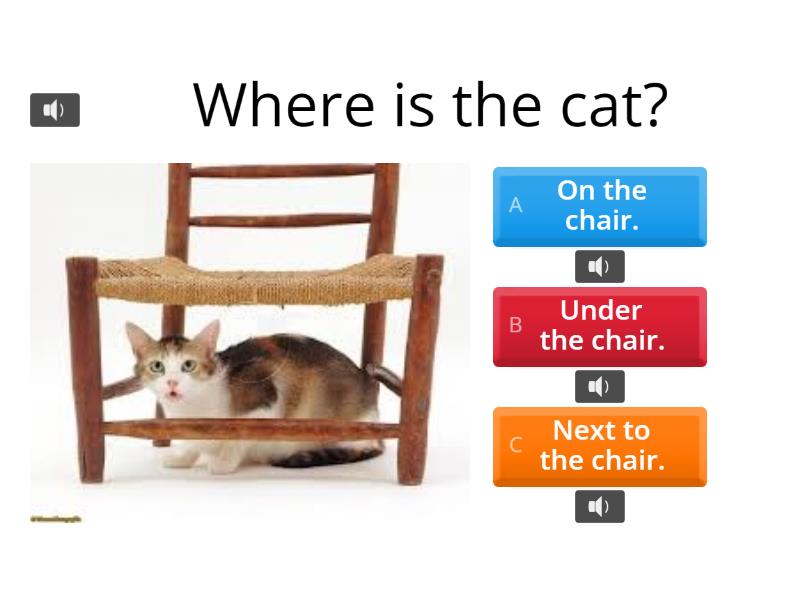 Prepositions of place (In, on, next to, in front of, behind, under ...