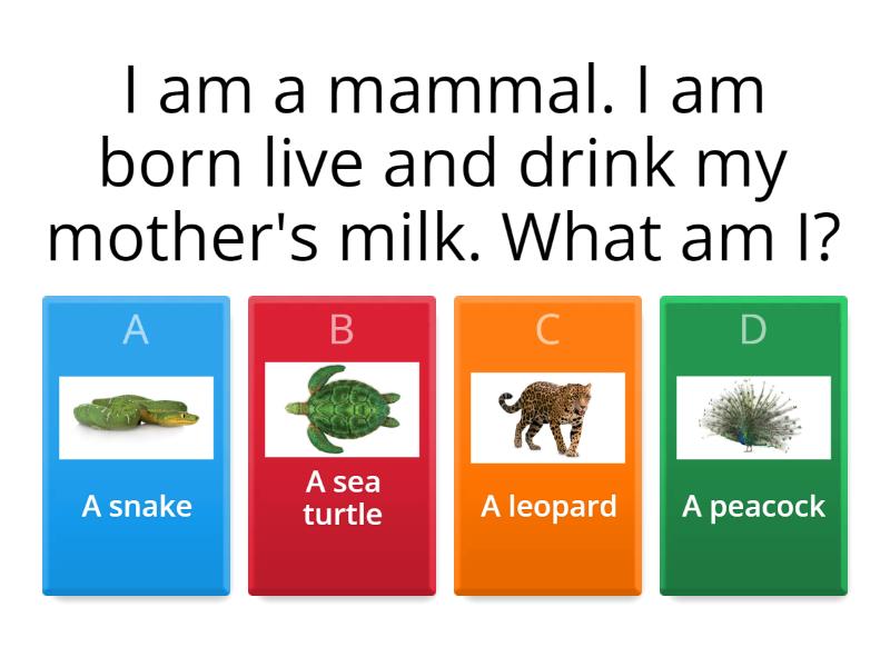 Multiple choice activity. Animals. - Cuestionario