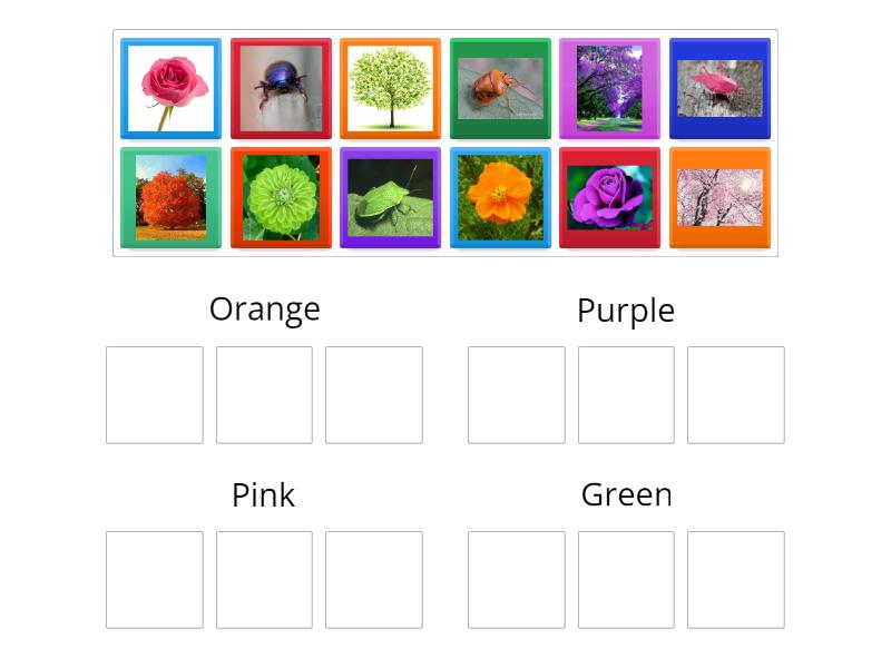 Kindy 1 - Unit 8 - Colors - Group sort