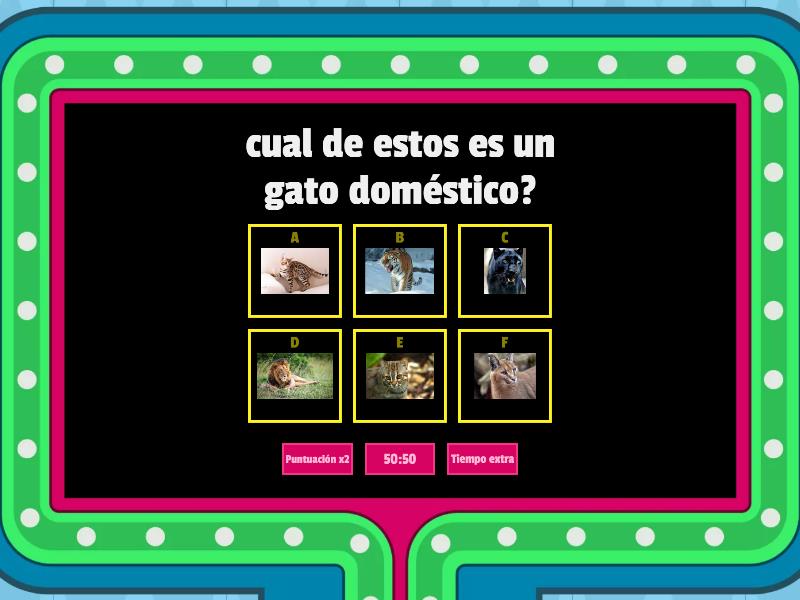 preguntas locas - Gameshow quiz