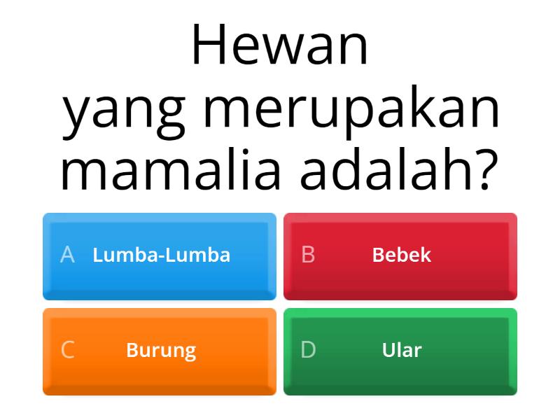 IPA - Quiz