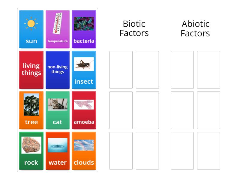 Abiotic vs Biotic Factors - Ordenar por grupo