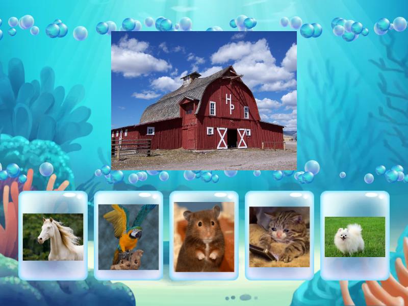 guessing game pets - Find the match