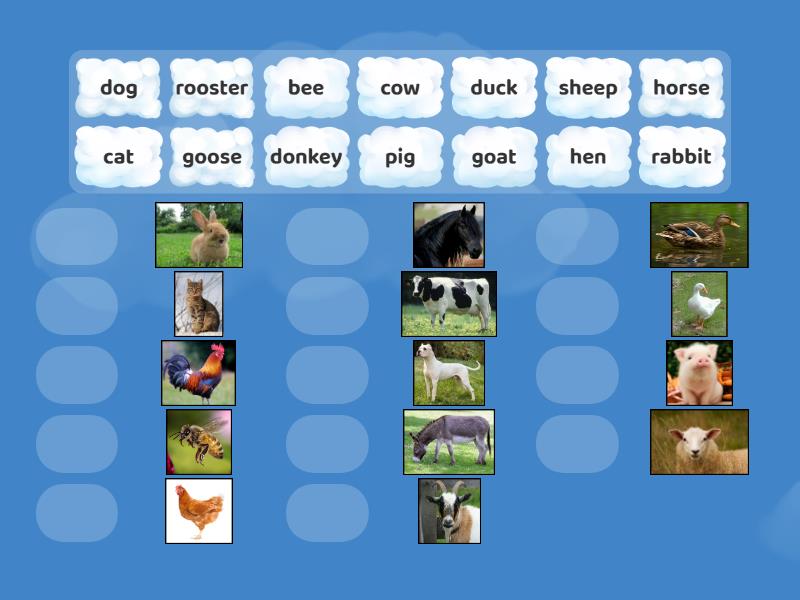 Farm animals - Match up