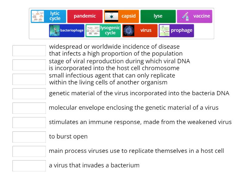 Viruses - Match up