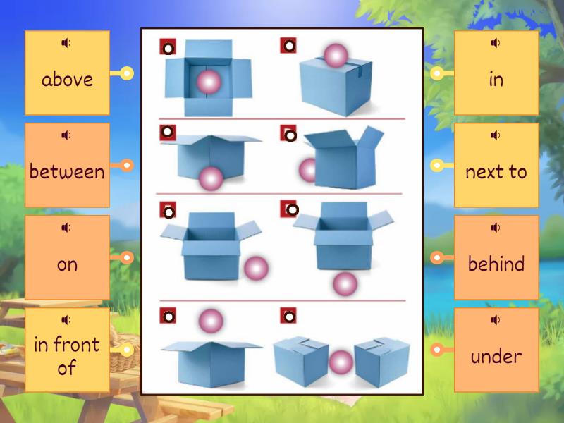 SO Elementary, unit 4.1 - Labelled diagram
