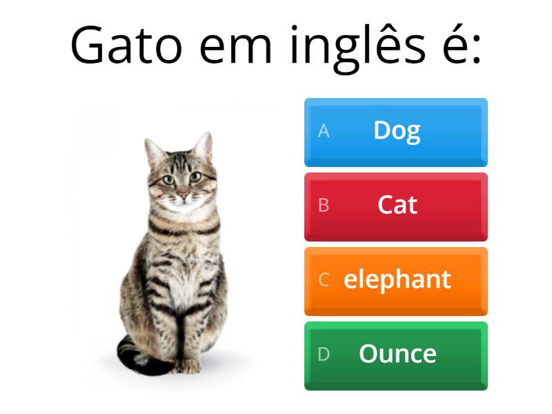 Cópia de Animais em inglês - Quiz