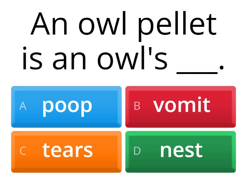 Owl Pellet Self- - Quiz