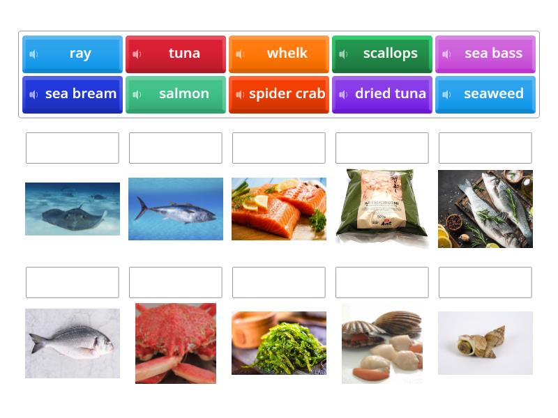 Sushi vocabulary - Match up
