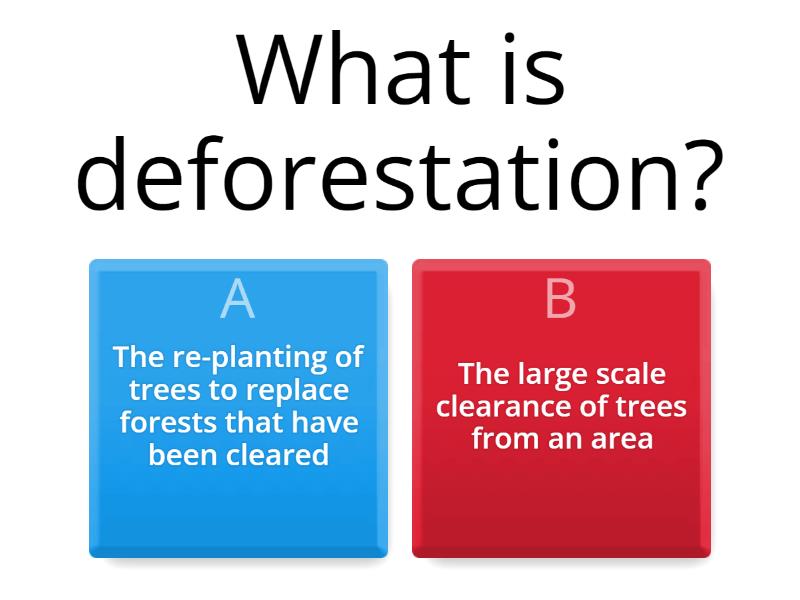 Deforestation and peat bog destruction quiz - Cuestionario