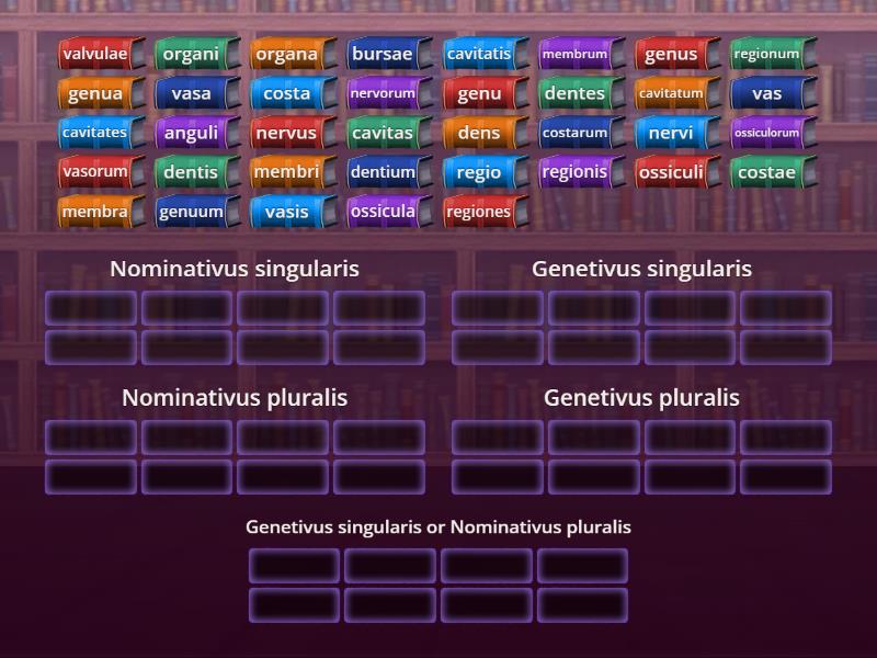 Latin Nouns - Group sort