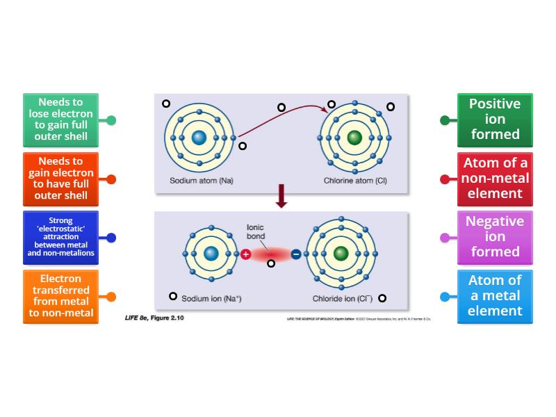 Ionic bonding labelling - Labelled diagram
