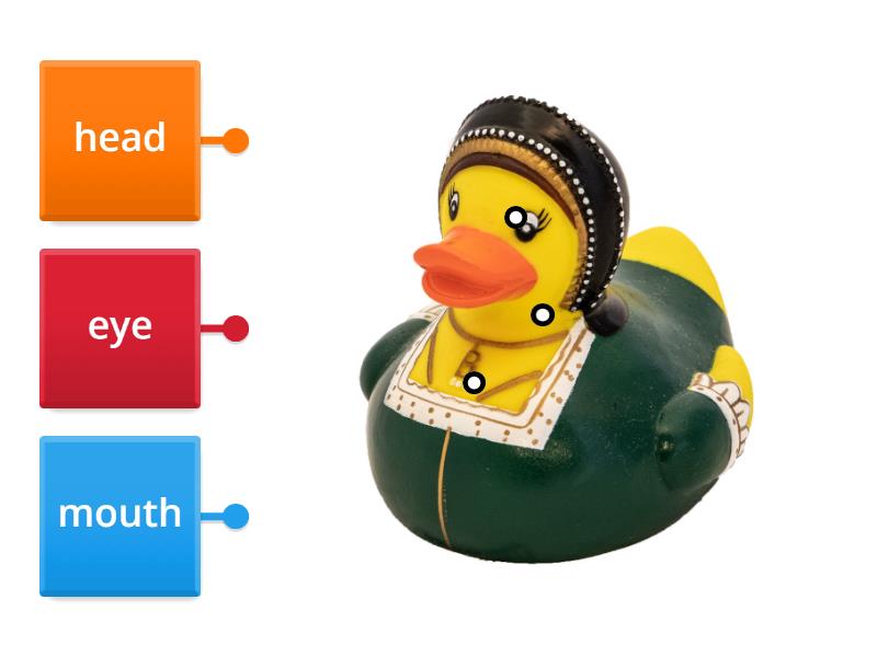 duck - Labelled diagram