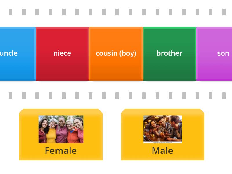 Family members: Male or female speed sort - Speed sorting