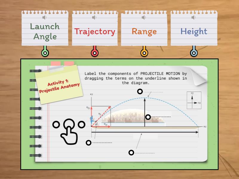 ACTIVITY 1 PROJECTILE ANATOMY - Labelled diagram