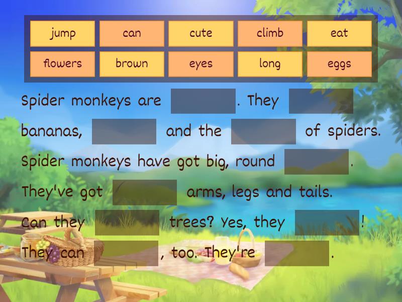 T.T 2 - U8 - Spider Monkeys - Complete the sentence