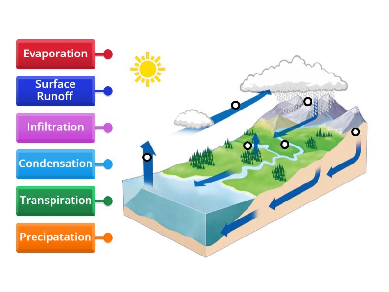 Water Cycle Labeled Diagram (4th Grade Science) - Labelled diagram
